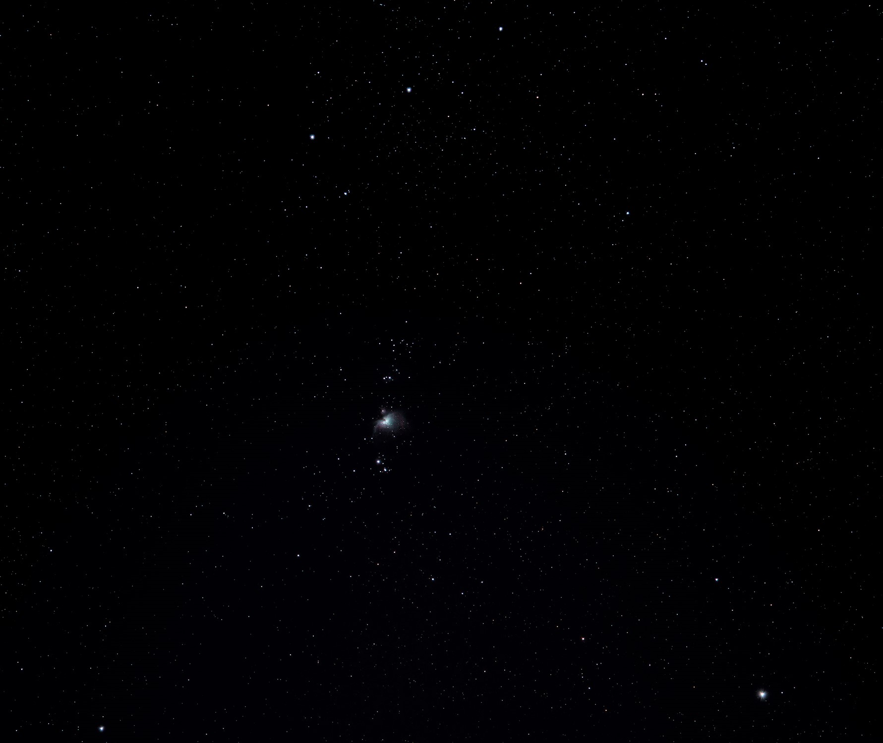 Photo Gallery | Colts Neck Cluster